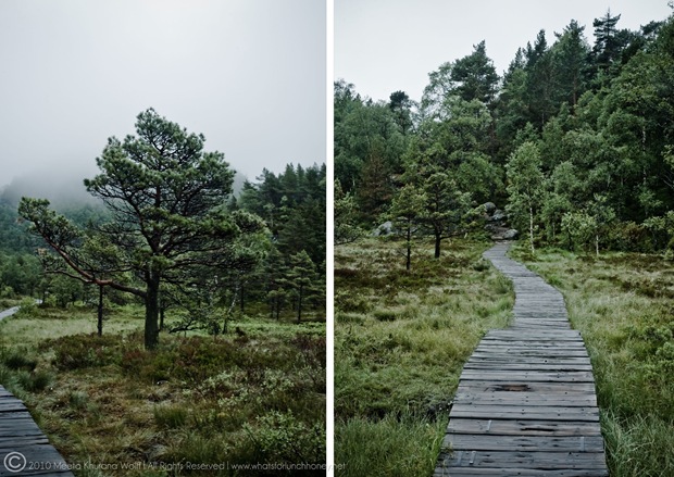 What's For Lunch Honey?: Serendipity in Norway Part 1 - Mandal ...